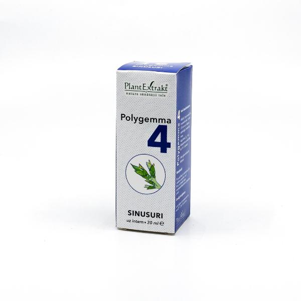 Polygemma 4 Sinusuri
